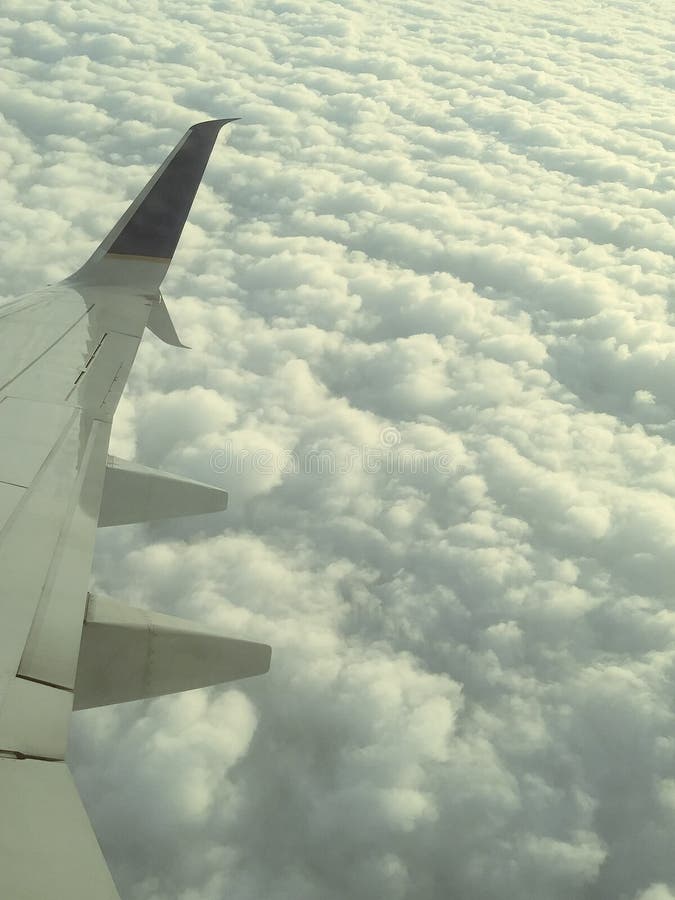 Flying is Scary but Beaitiful Stock Image - Image of monochrome ...