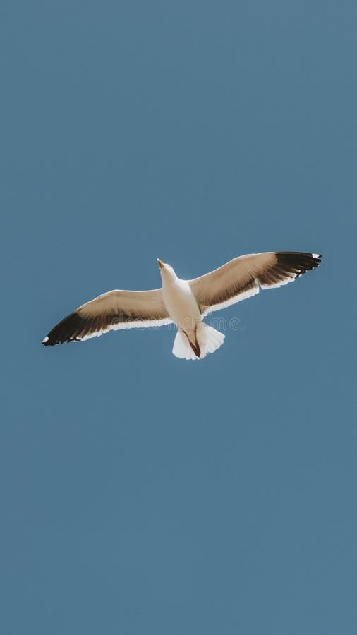 Blue Lock Pics Naruto Stock Photos - Free & Royalty-Free Stock Photos ...