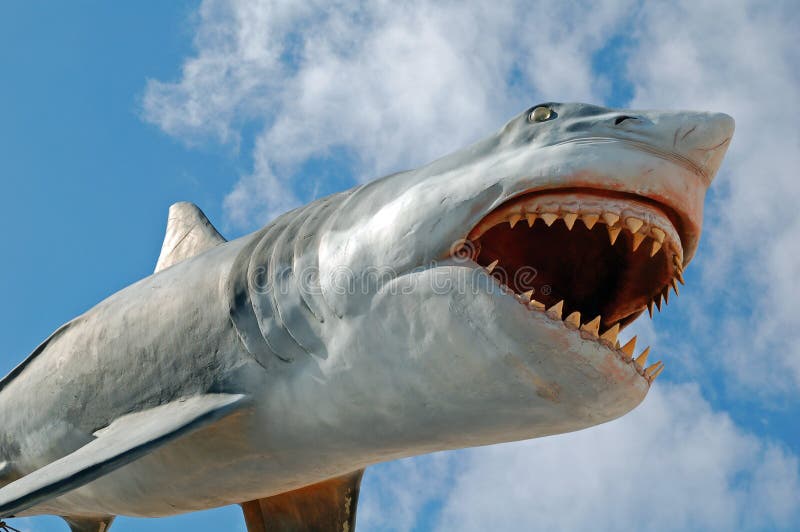 Flying Shark Royalty Free Stock Image - Image: 8622696