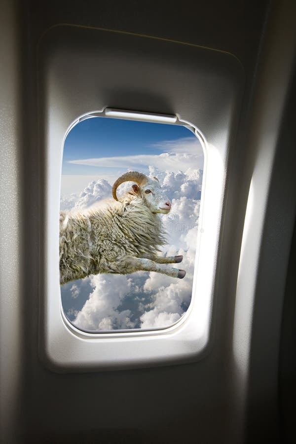 719 Flying Sheep Stock Photos - Free & Royalty-Free Stock Photos from ...