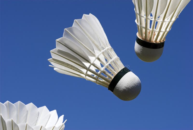 Flying shuttlecock stock photo. Image of equipment, sport - 21076304