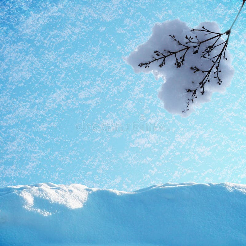 Flying snow stock image. Image of snow, season, scenic - 35952193