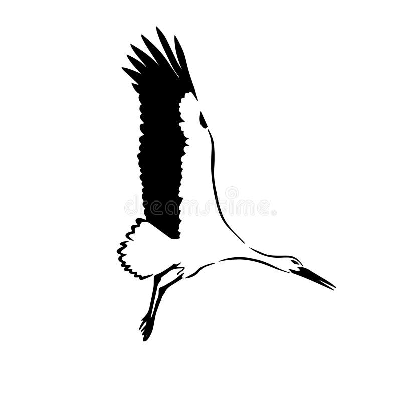 Logo Stork Takes Off and the Sun. Vector Illustration. Stork Silhouette ...