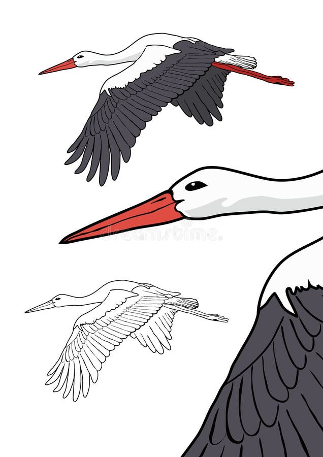 Flying Stork, Vector Illustration Stock Vector - Illustration of ...