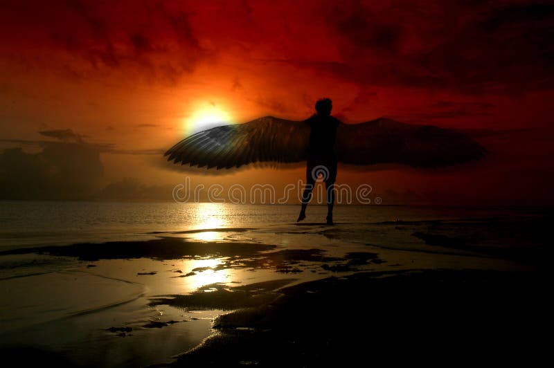 Flying into sun stock photo. Image of dawn, orange, happy - 34438228