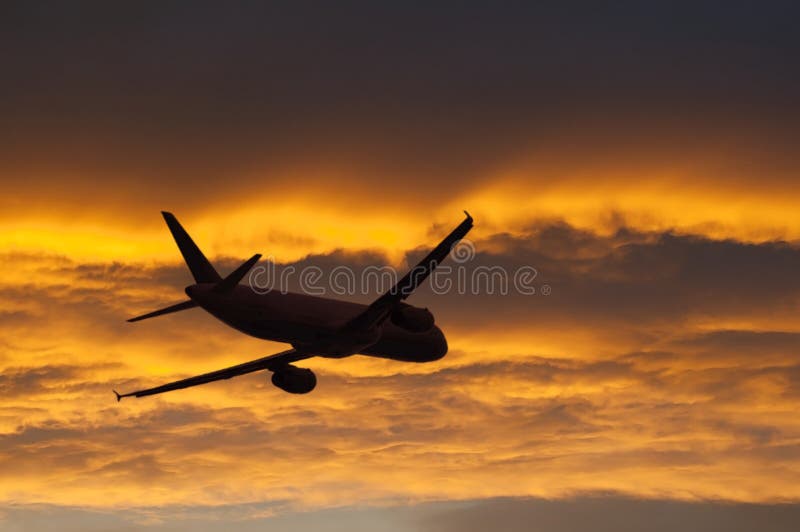 Flying into the Sunset stock photo. Image of flying, butterflies - 81246