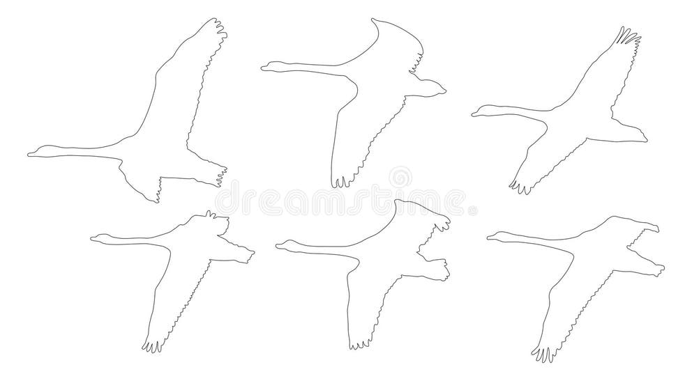 Flying Swans Birds Contour. Vector Illustration Stock Vector ...