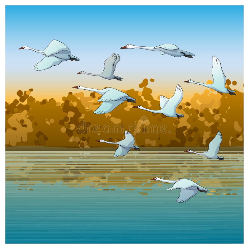 Flock Swans Stock Illustrations – 85 Flock Swans Stock Illustrations ...