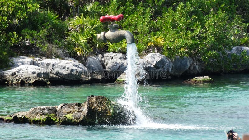 Cancun Flying Tap Stock Photos - Free & Royalty-Free Stock Photos from ...