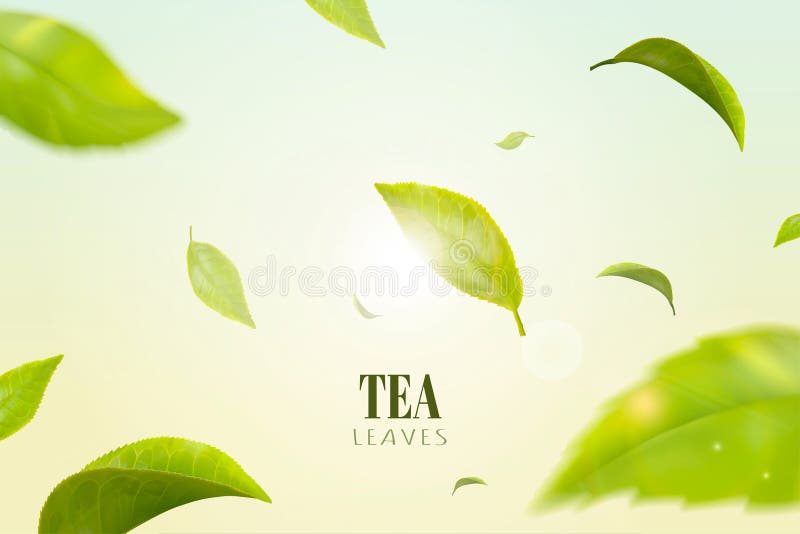Flying tea leaves effect stock vector. Illustration of nature - 304409703