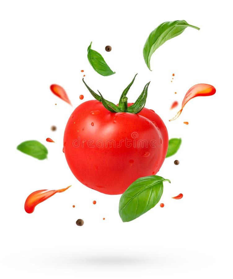 Flying Tomato with Splashes and Basil Leaves on White Background. Stock ...