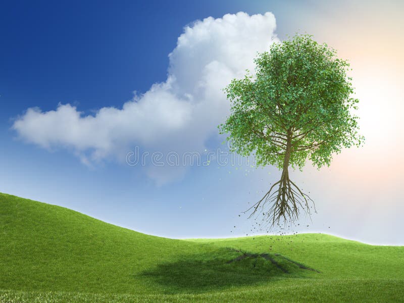 Flying tree stock image. Image of background, grass, landscape - 42432773