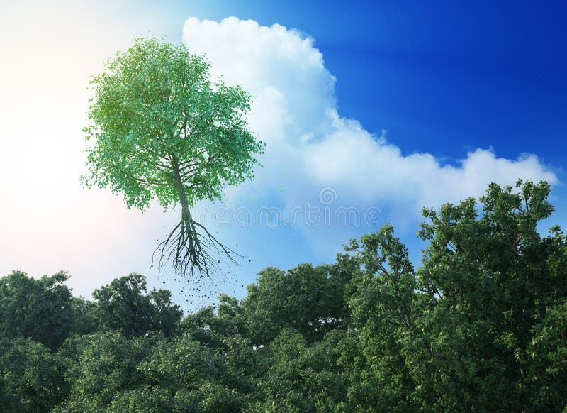 Flying tree stock image. Image of background, grass, landscape - 42432773