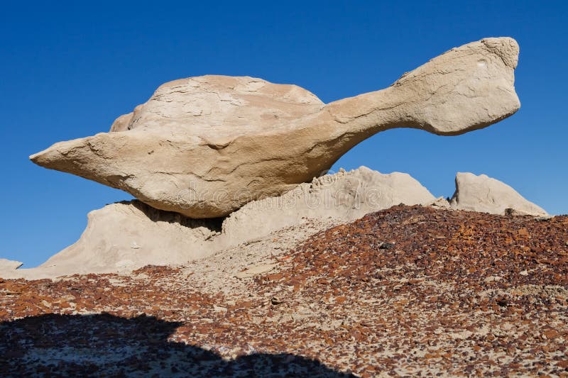 Flying Turtle - Rock Formation, Bisti Badlands Stock Image - Image of ...
