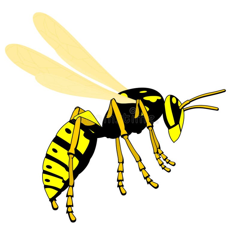 Cartoon Flying Wasp Stock Illustrations – 5,085 Cartoon Flying Wasp ...