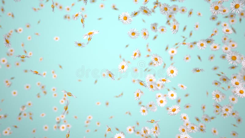 Flying white daisy flowers stock illustration. Illustration of paper ...