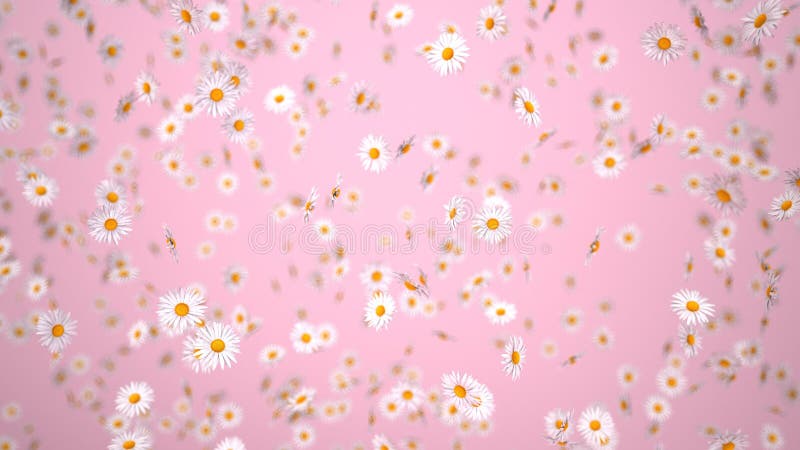 Flying white daisy flowers stock illustration. Illustration of love ...