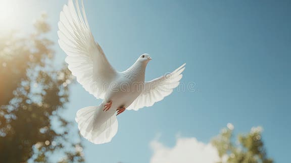 Flying White Dove in Blue Sky with Place for Text. Stock Photo - Image ...