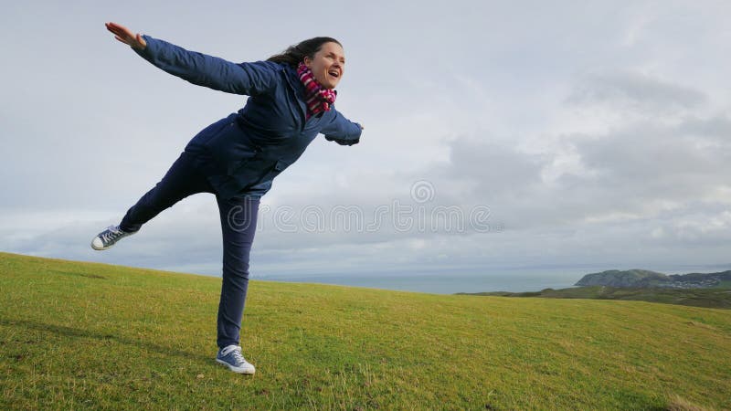 Flying in the wind stock image. Image of grass, joyful - 67322453