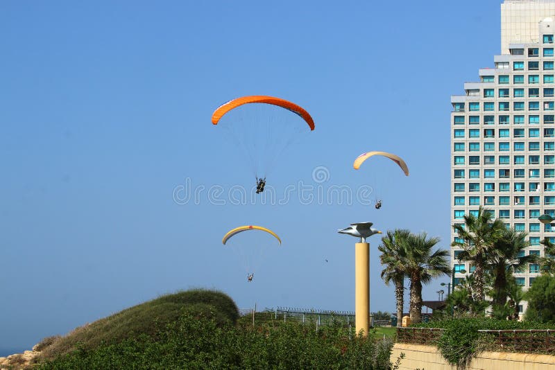 Flying on the wing editorial photography. Image of wing - 78267897