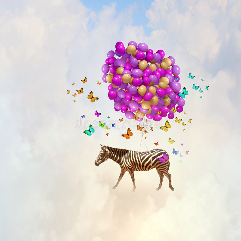 Flying zebra stock photo. Image of birthday, creative - 42153780