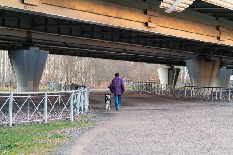 Flyover of the Highway Over Asphalt Road Editorial Photography - Image ...