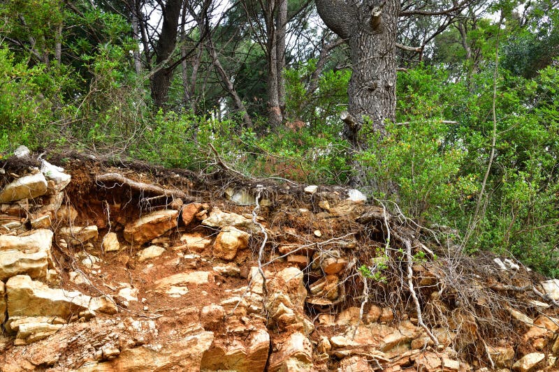 Flysch is a Geological Formation, a Complex of Marine Sedimentary Rocks ...