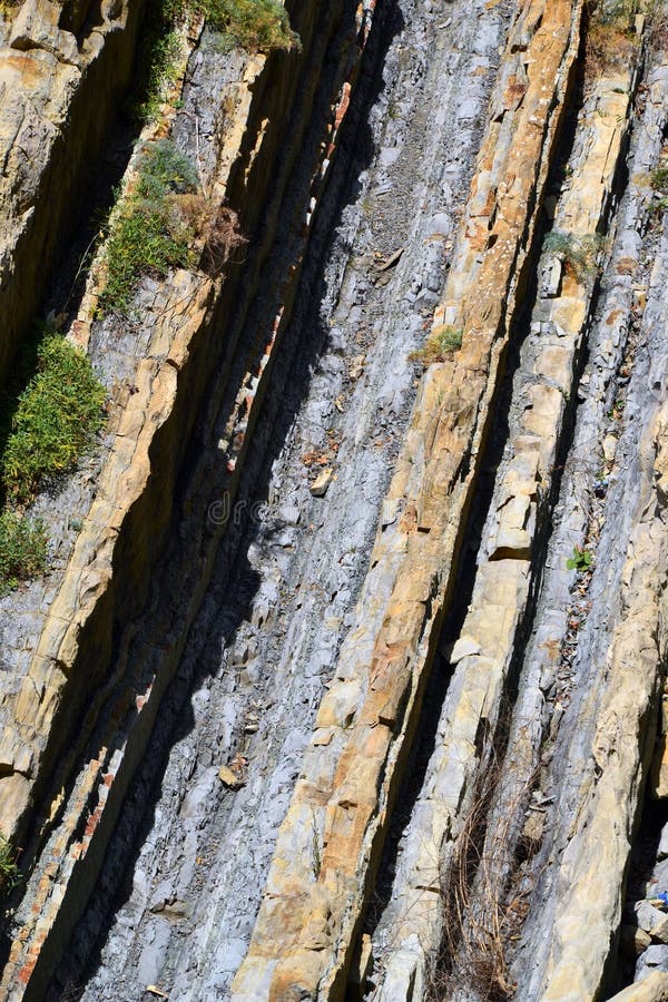 Flysch Rock on the Seashore in the Water Stock Photo - Image of nature ...