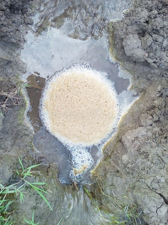 Foam stock image. Image of soil, foam, water - 76778447