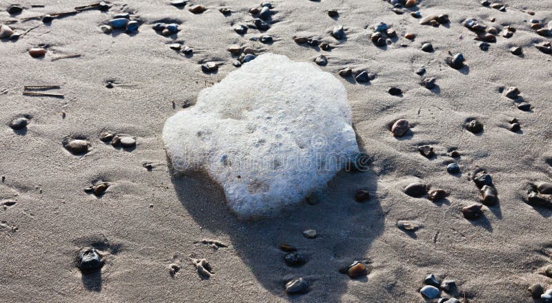 Foam on the beach stock photo. Image of natural, nature - 17988524
