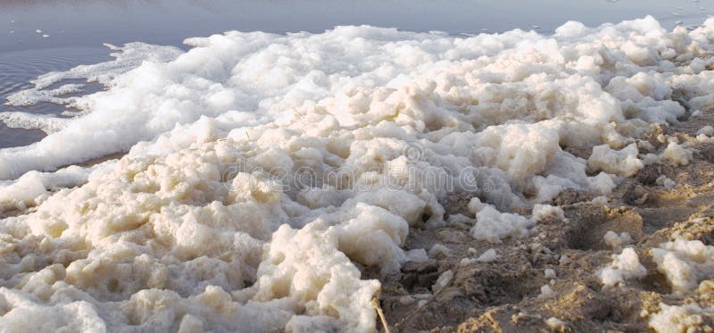 Foam On The Beach Picture. Image: 5408732