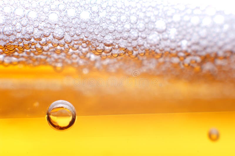 Foam on a beer. stock image. Image of gold, cool, foam - 25769269