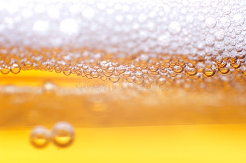 Beer foam stock image. Image of glass, white, thirst, alcoholic - 6372179