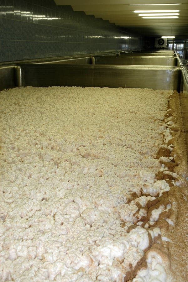 The Foam during Beer Fermentation Stock Photo - Image of stainless ...