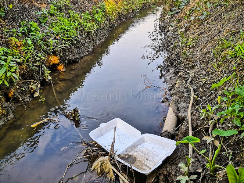 Foam box in the river stock image. Image of trash, white - 141472581