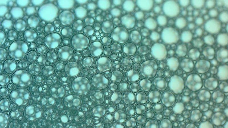 Bubble Disappear Stock Photos - Free & Royalty-Free Stock Photos from ...