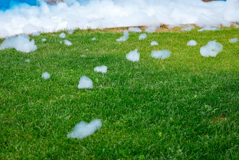 Foam Bubbles Blow Up in the Wind during the Foam Party and Fall Onto ...