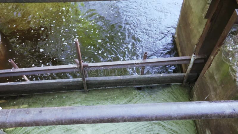 Industrial Wastewater and Foam Stock Footage - Video of clean, garbage ...