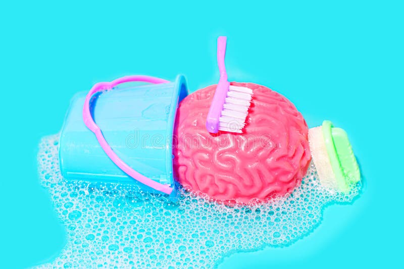 Foam Cleansing: Human Brain Model with Household Cleaning Tools Stock ...