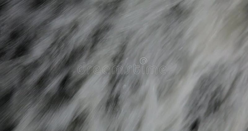 Foam on Fast Flowing River. Stock Video - Video of textured, summer ...