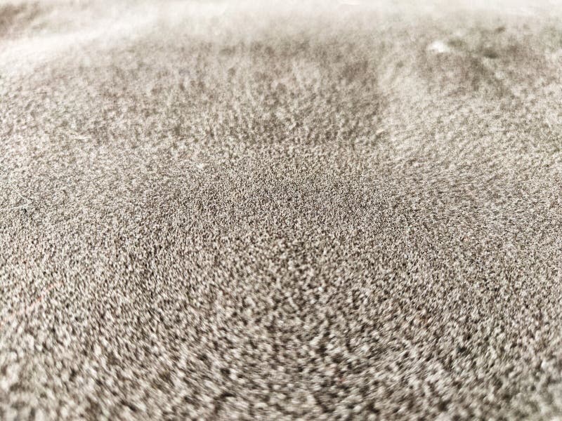 464 Fiber Polyurethane Stock Photos - Free & Royalty-Free Stock Photos ...