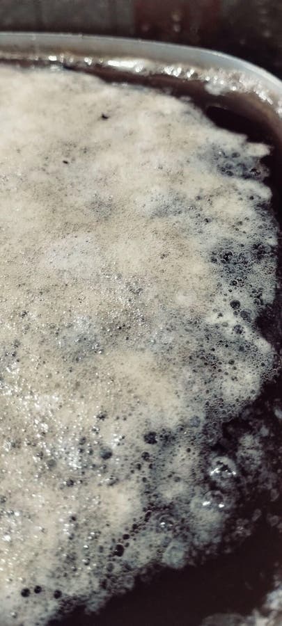 Foam that Forms when Black Beans are Left To Soak in Water Overnight ...