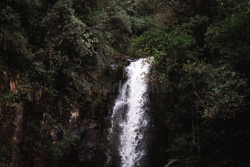 Foam on the River Water Due To the Force of the Falls Stock Photo ...