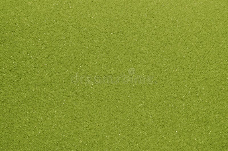 705 Foam Green Rubber Texture Photos - Free & Royalty-Free Stock Photos ...