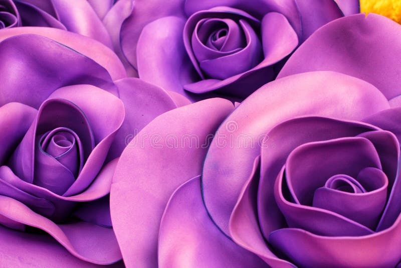 Foam Rubber Purple Roses Background Stock Photo - Image of foam, roses ...