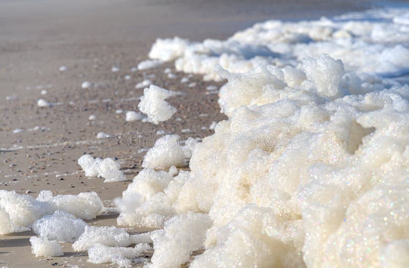 Foam from Some Waves at the Lonely Beach Stock Photo - Image of ocean ...