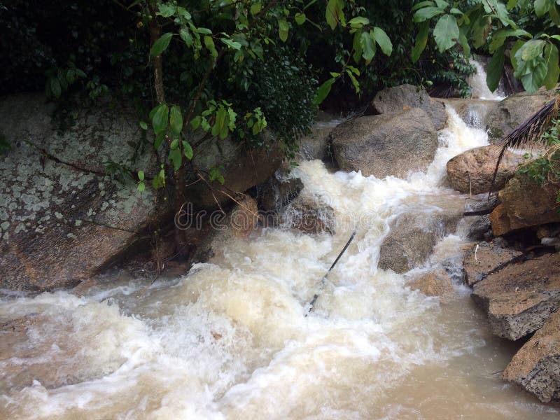 Foam stream stock image. Image of green, forest, nature - 84647593