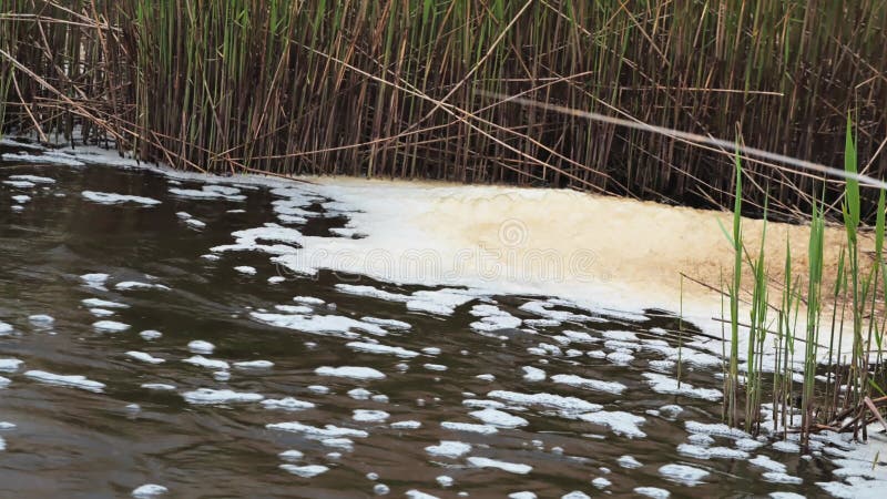 Foam on the Surface of the Water. the Flow of Water at the Outlet of ...
