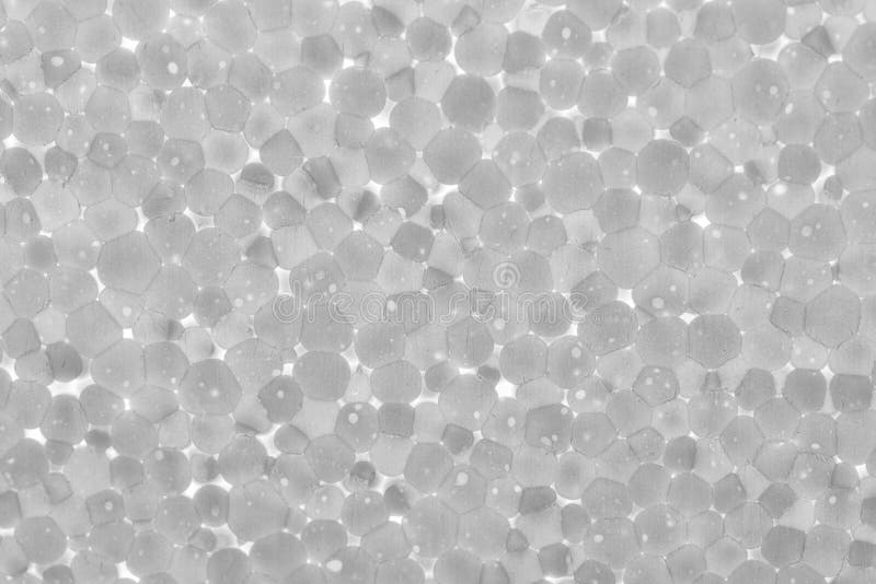 Foam Texture or Background,Polystyrene ,Styrofoam Foam Texture Stock ...