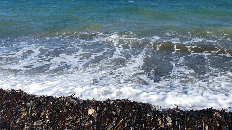 Foaming Waves on the Seashore Stock Image - Image of nature, travel ...